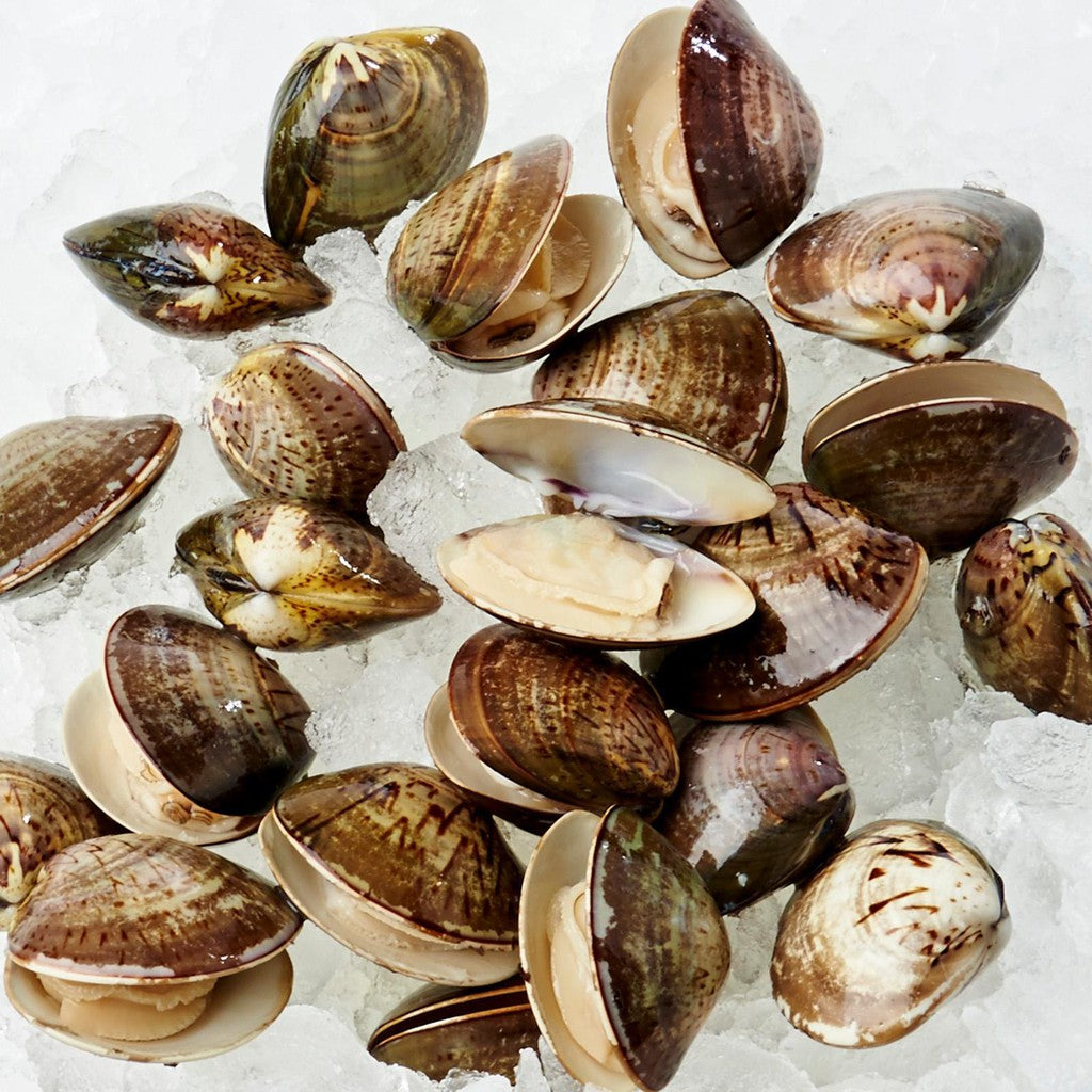 FLOWER CLAMS – Meat Pride